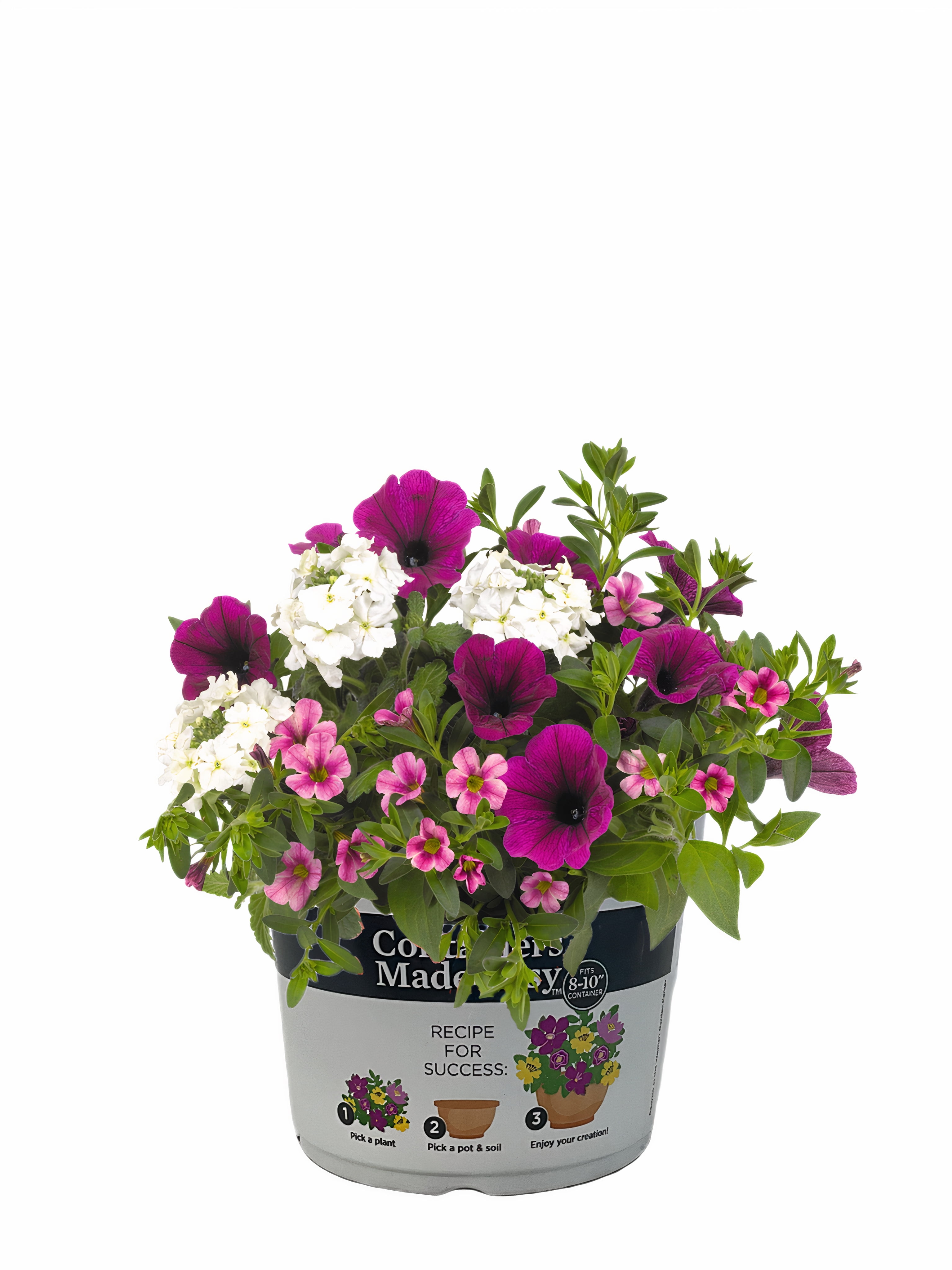 Better Homes & Gardens 3QT Mountain Majesty Container Made Easy live ...