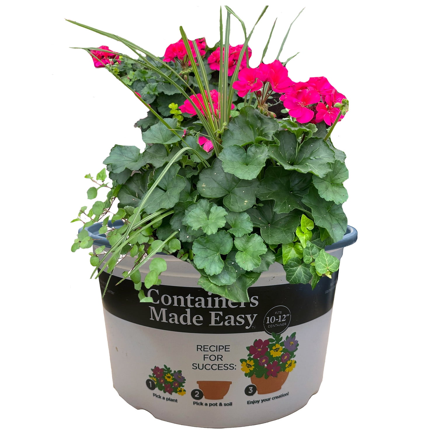 Better Homes & Gardens - 1.5 Gallon Love Story Multicolor Geranium ...