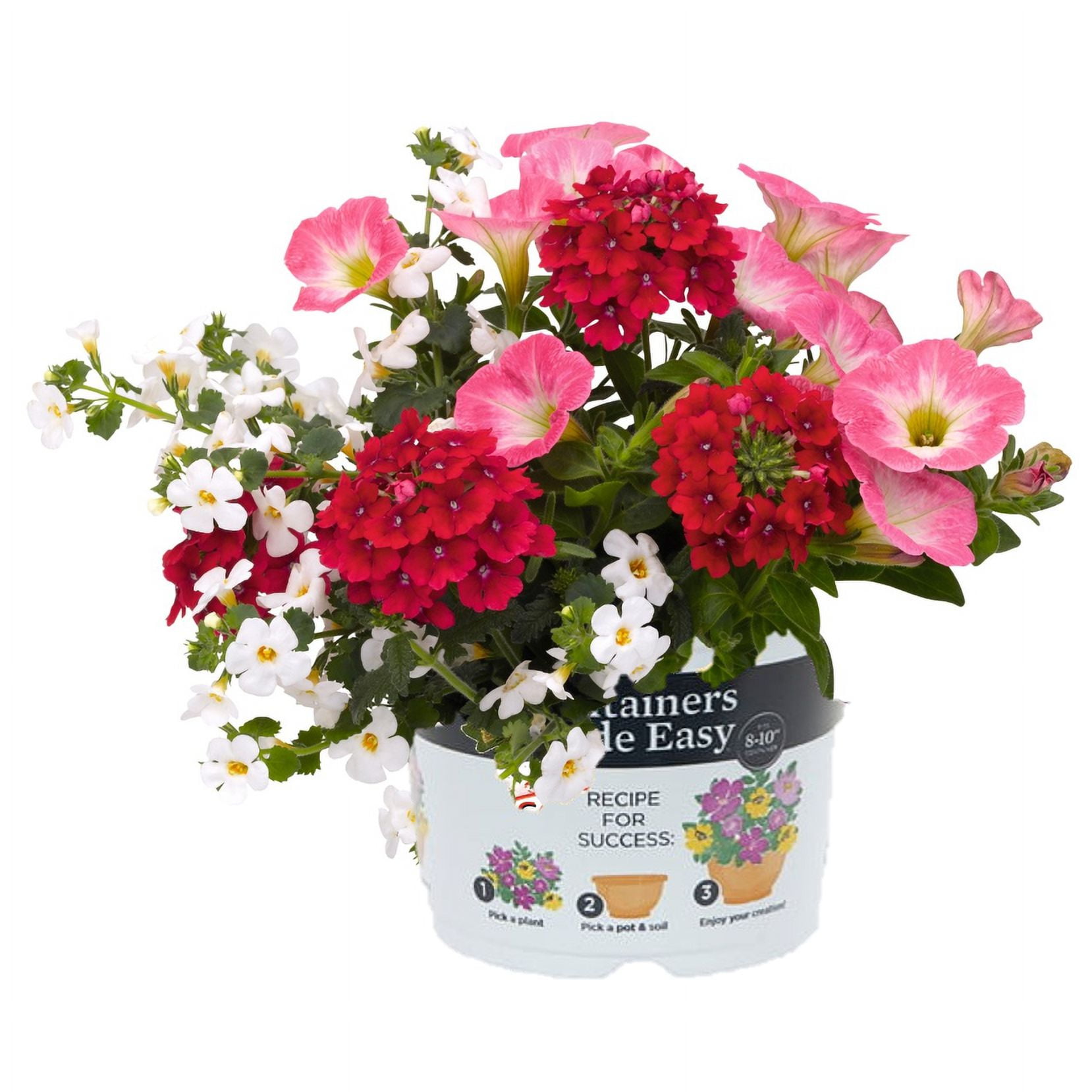 Better Homes & Gardens 1.5G Container Made Easy Trixi Raspberry Sorbet ...