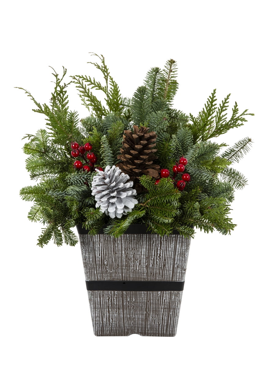 Better Homes & Gardens 1.5Gal Timeless Real Holiday Greens Fresh Cut ...