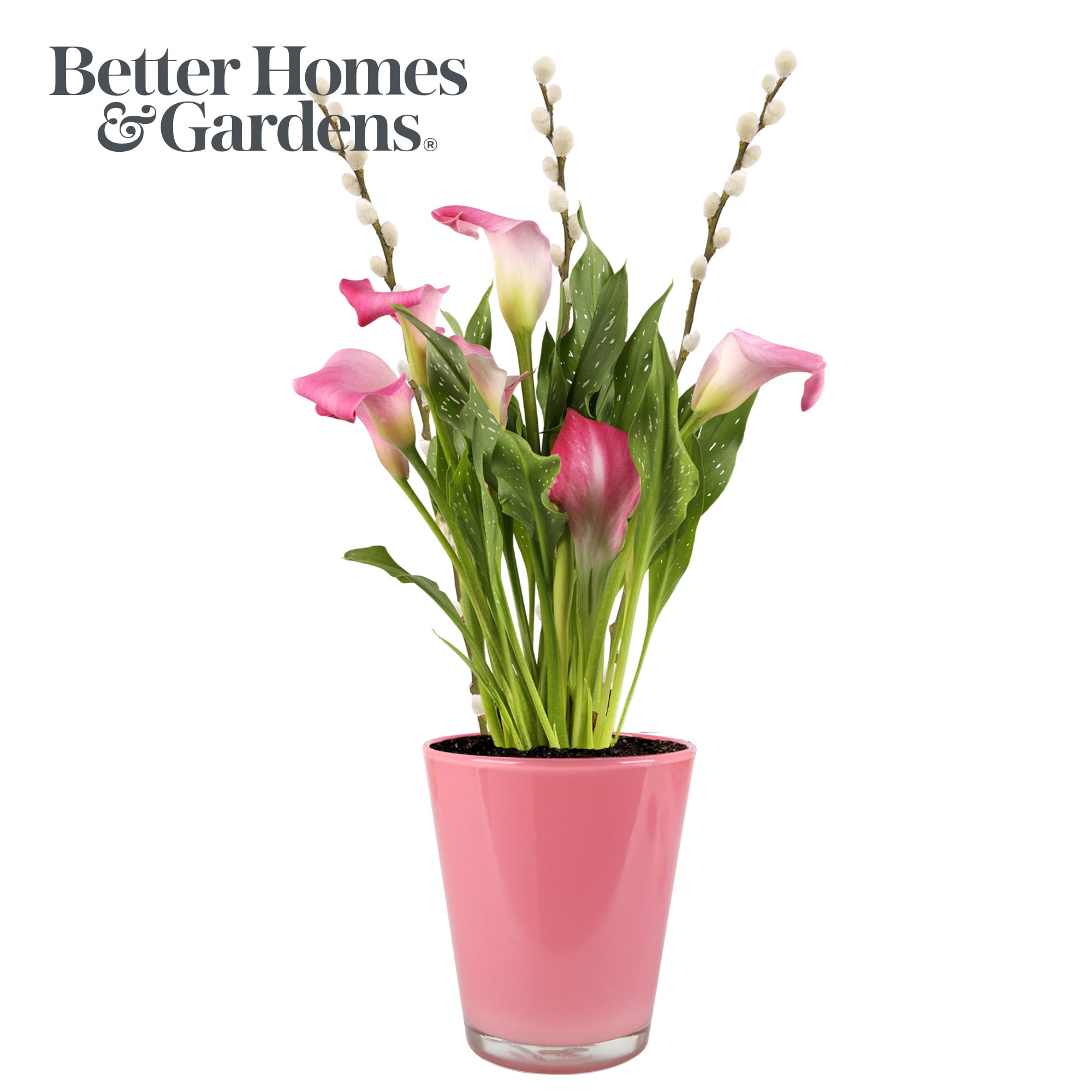 Better Homes & Gardens 22" Tall Valentine’s Day Pink Calla Lily in 5 ...