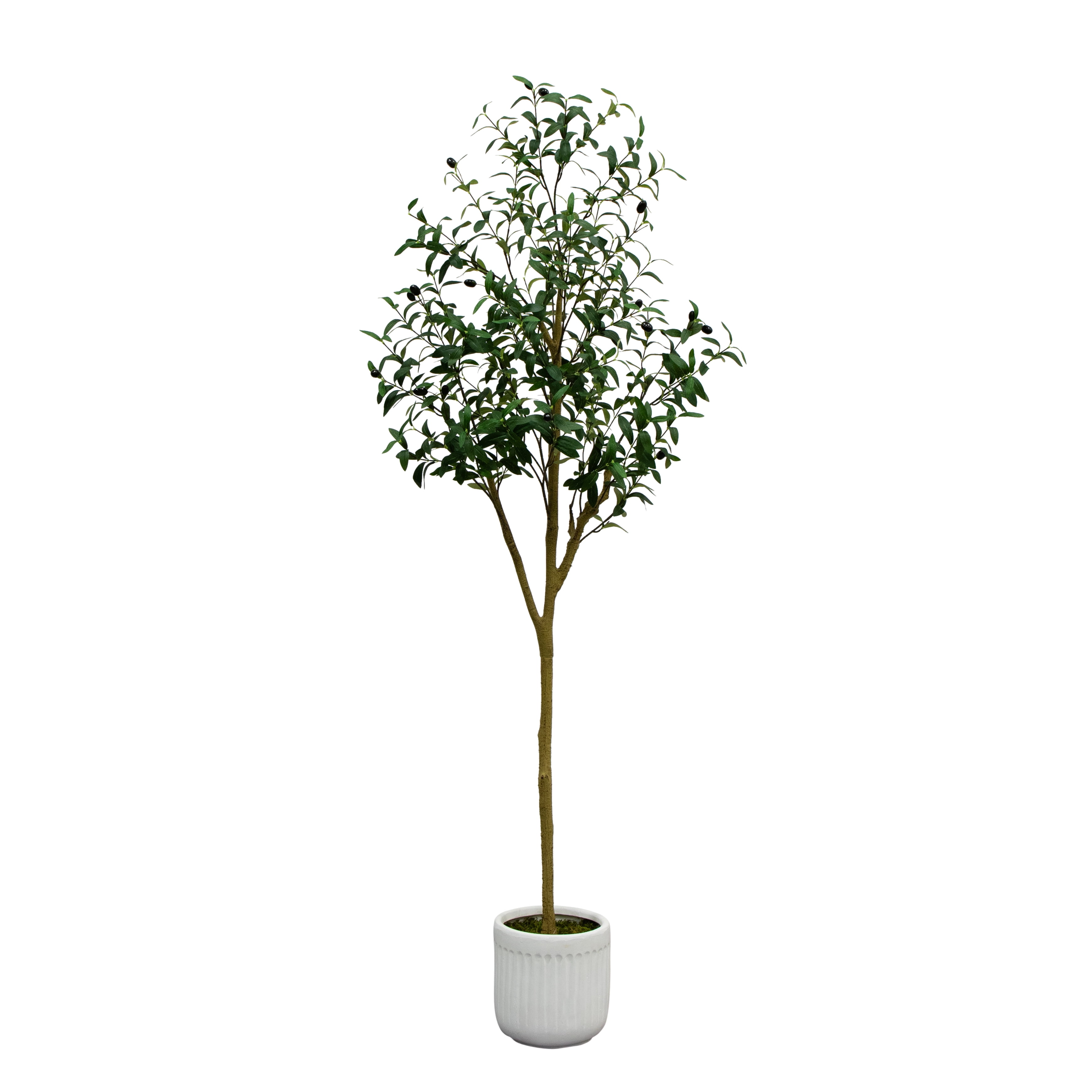 Better Homes & Gardens 6' Artificial Olive Tree in Ceramic Planter ...