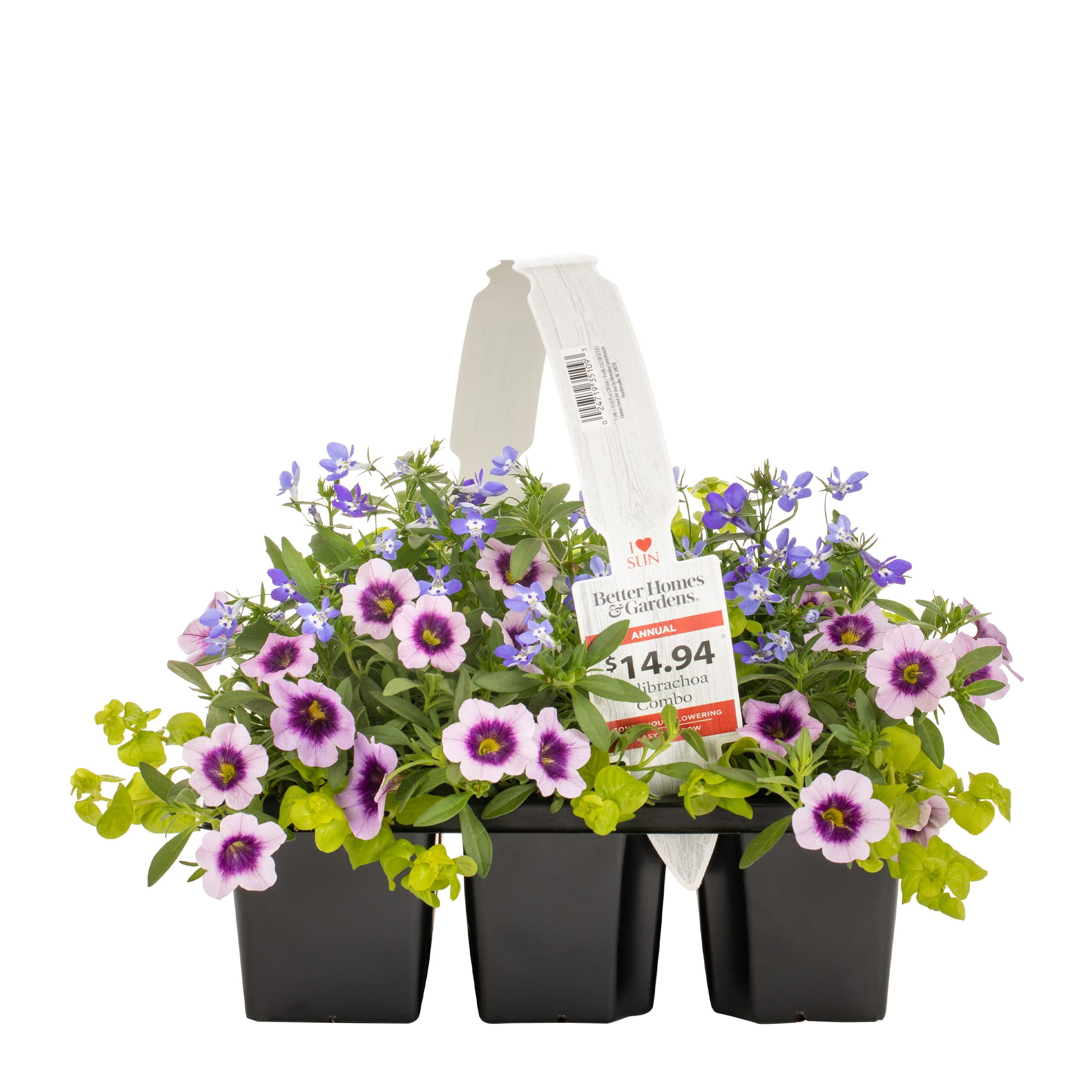 Better Homes & Gardens 9PK Multicolor Annual Combo Live Plants with ...