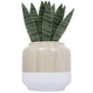 Better Homes & Gardens Wicking Ceramic Oil Diffuser, Floral - Walmart.com