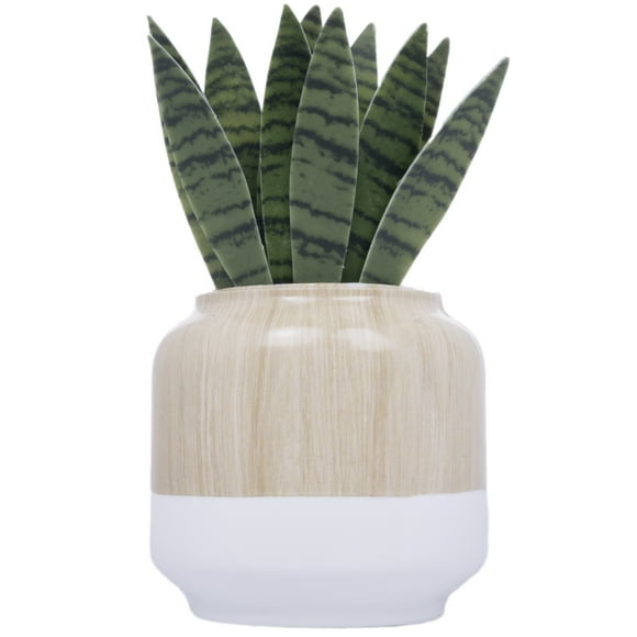 Better Homes & Gardens Essential Oil Diffusers - Walmart.com