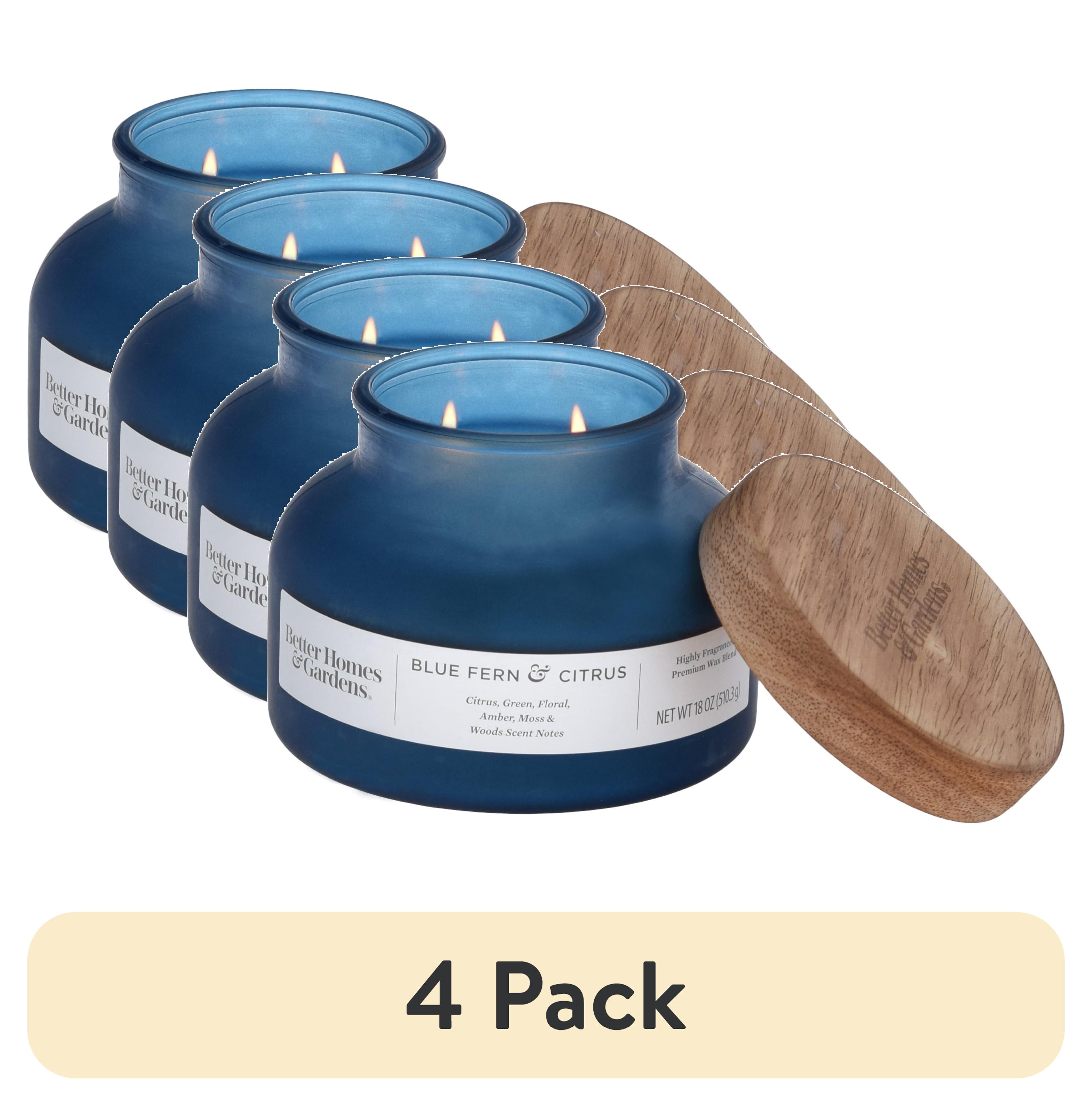 (4 pack) Better Homes & Gardens Blue Fern and Citrus Scented 2-Wick ...