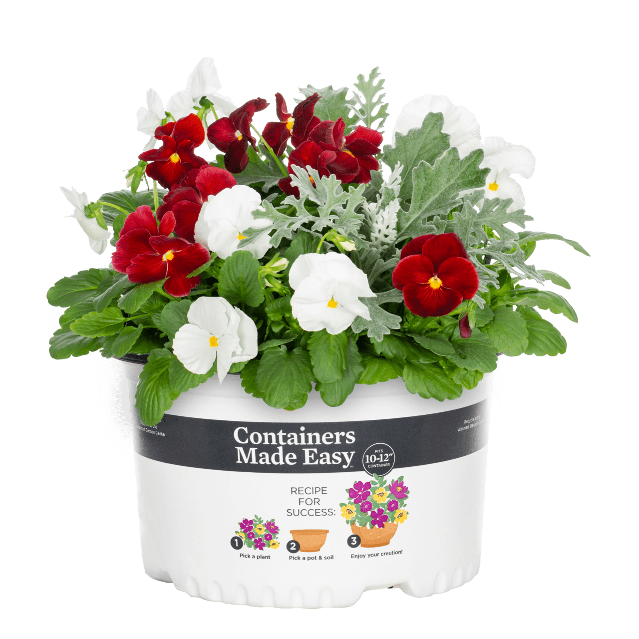 Better Homes & Gardens Containers Made Easy 1.5G Multi-Color Pansy ...