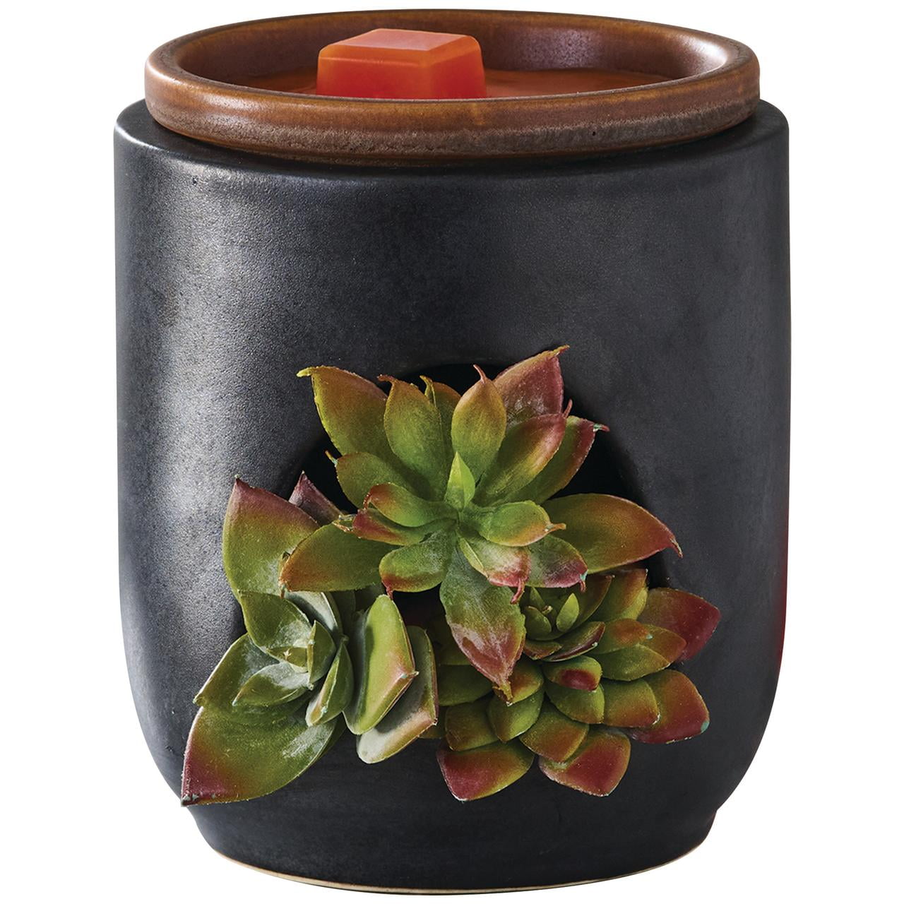Better Homes & Gardens Full Size Fragrance Warmer, Succulent - Walmart.com