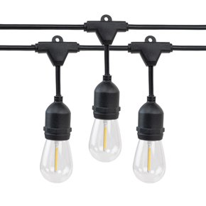 Outdoor Edison Lights