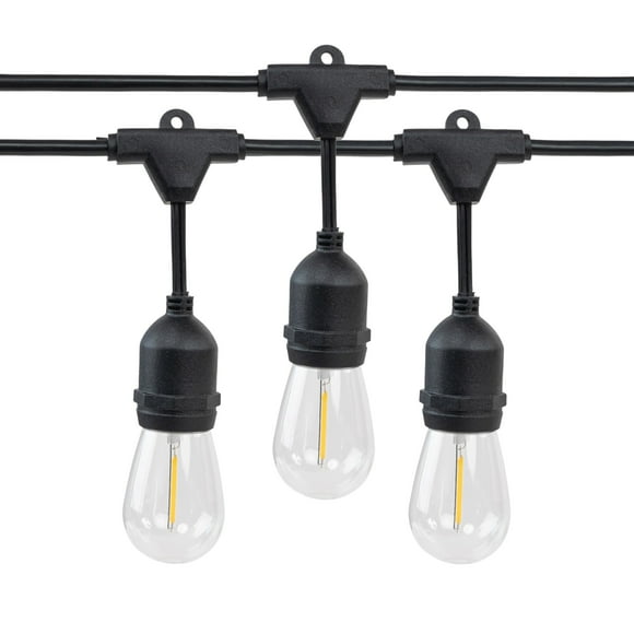 Outdoor Edison Lights
