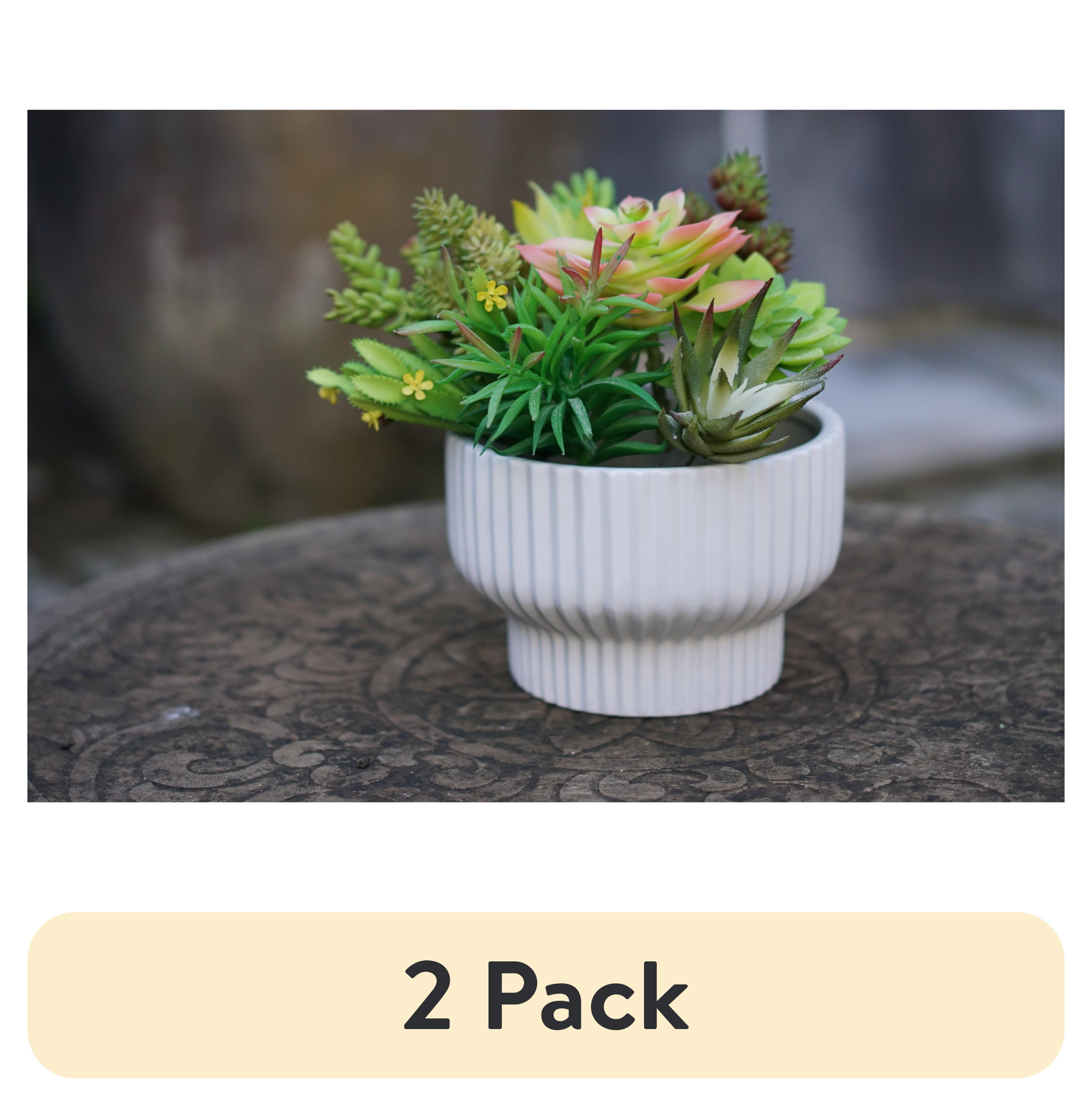 (2 pack) Better Homes & Gardens Pottery 8" Fischer Ceramic Planter ...