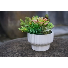 Better Homes & Gardens Ceramic Planter 12 Inch White Indoor Succulents ...