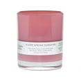 Better Homes & Gardens Warm Spring Sunshine 12oz Scented 2-wick Candle ...