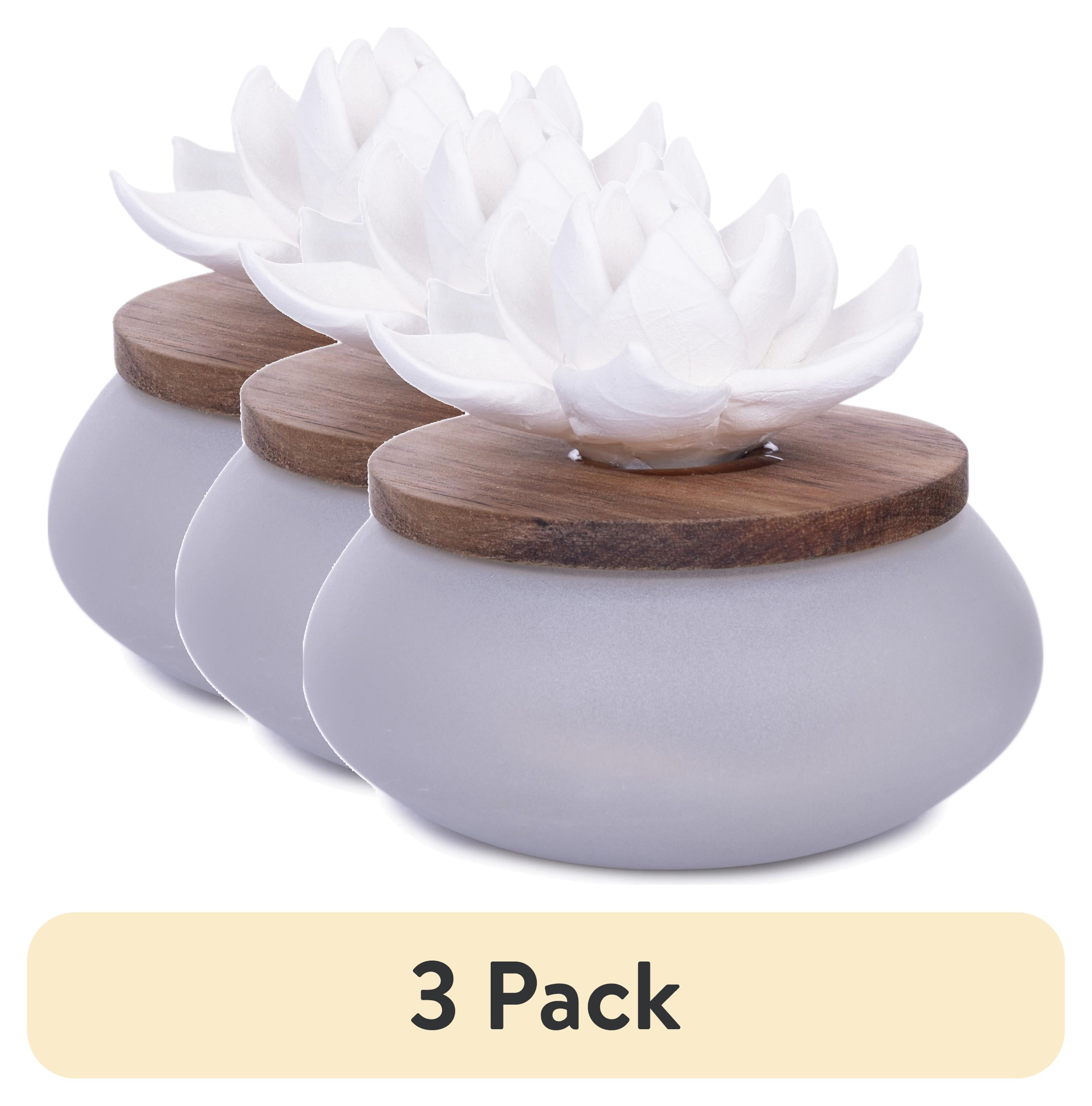 (3 pack) Better Homes & Gardens Wicking Ceramic Diffuser, Frosted ...