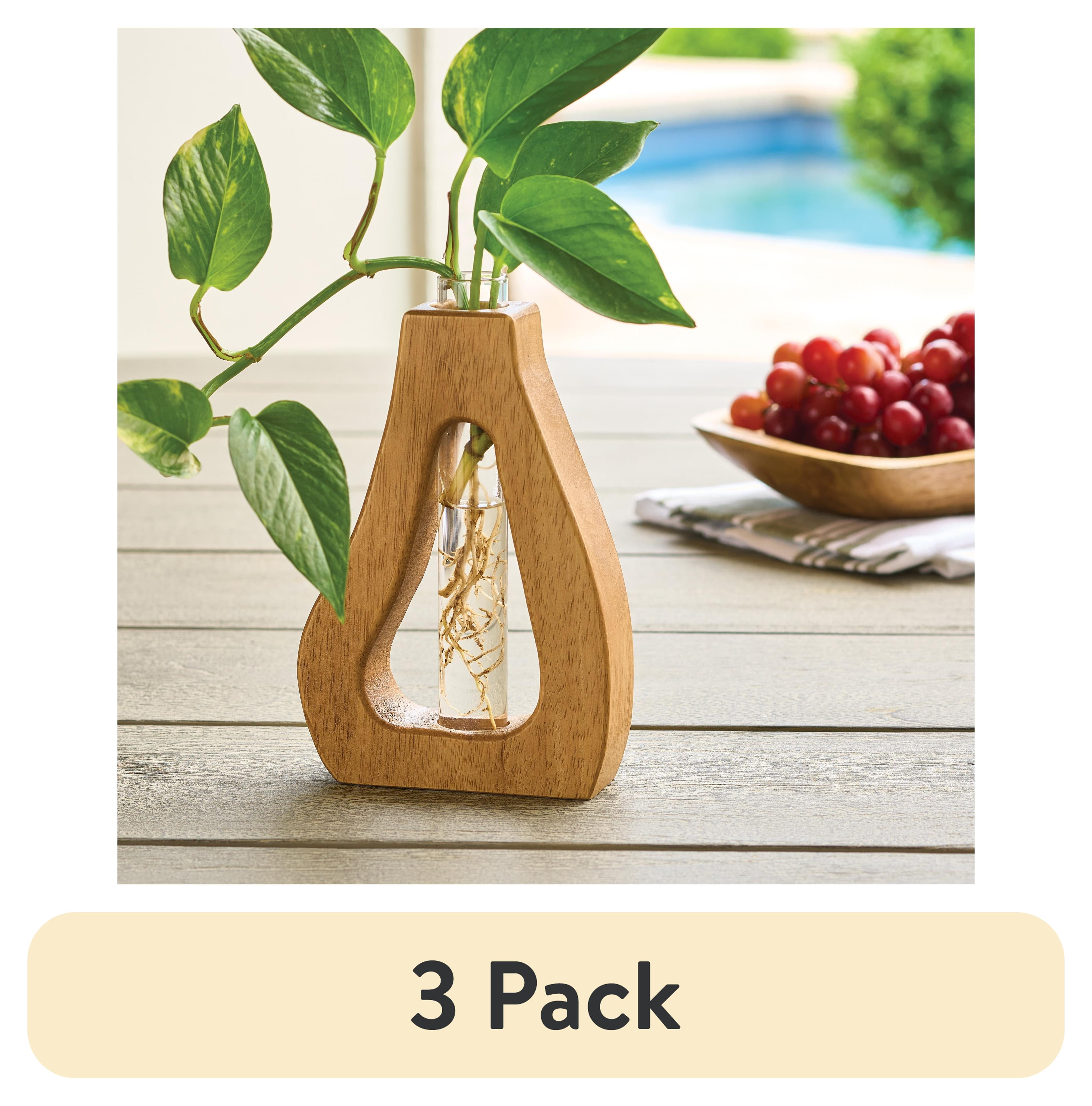 (3 pack) Better Homes & Gardens Wood and Glass Curved Propagation Plant ...