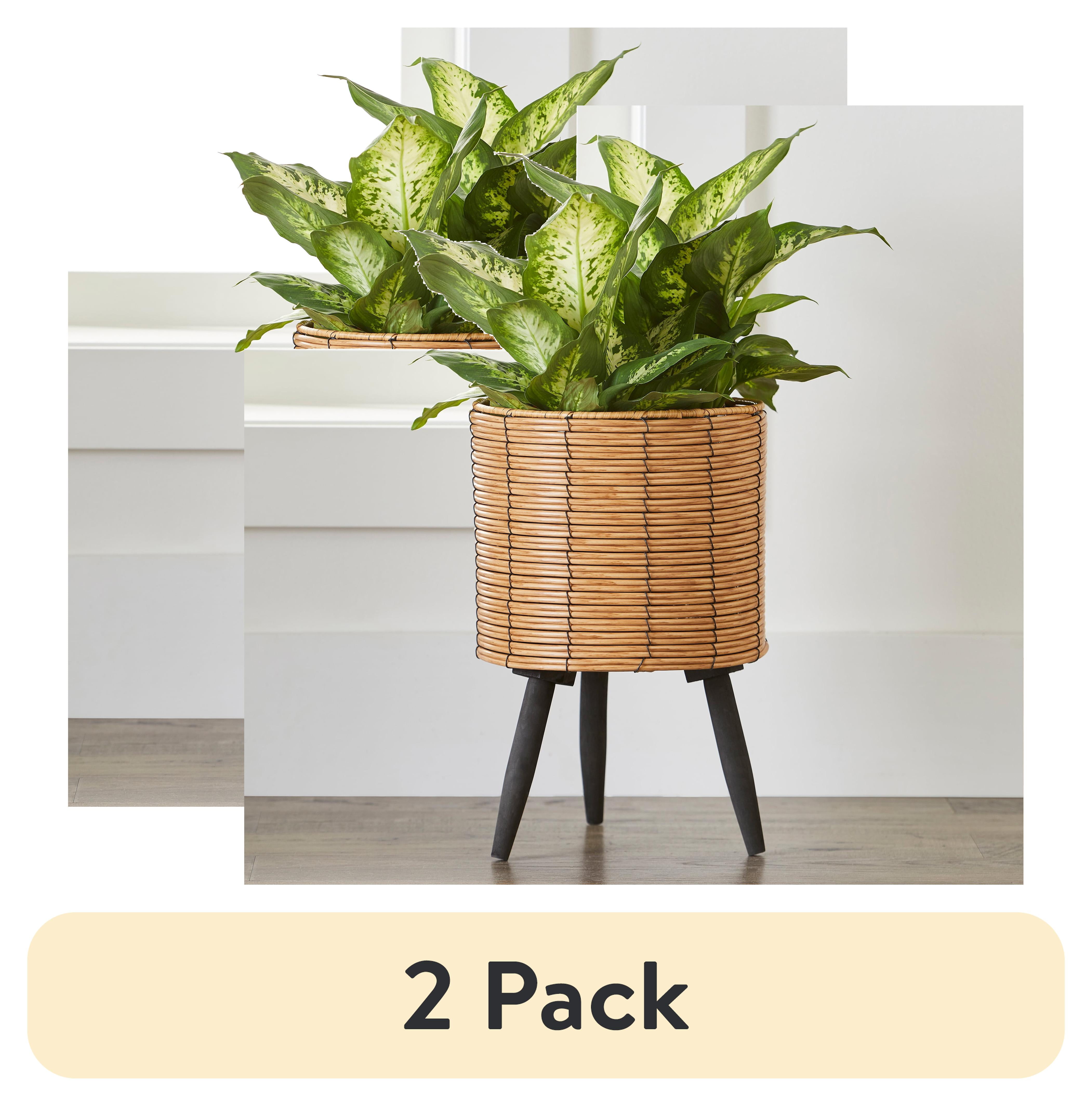 (2 pack) Better Homes and Gardens 9.8 in Resin Thurlow Planter with ...