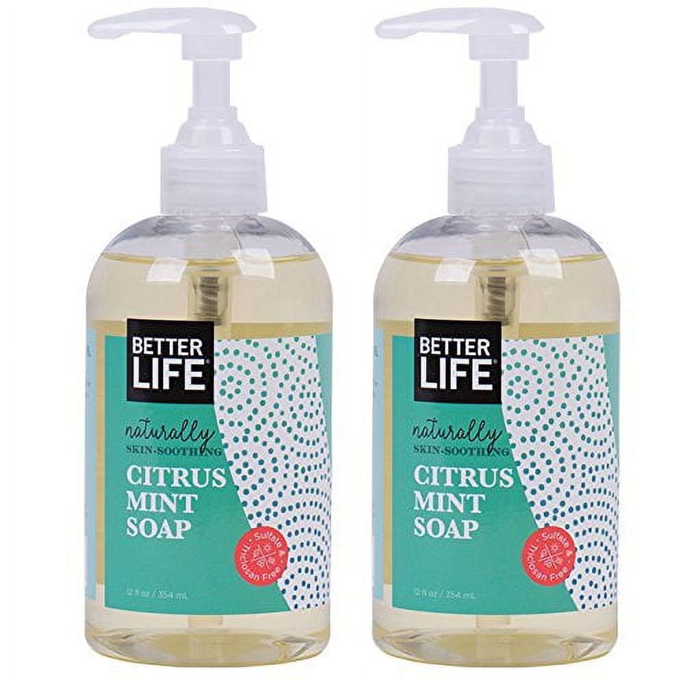 Better Life Hand and Body Soap, Citrus Mint, 12 Ounces, Pack of 2 ...
