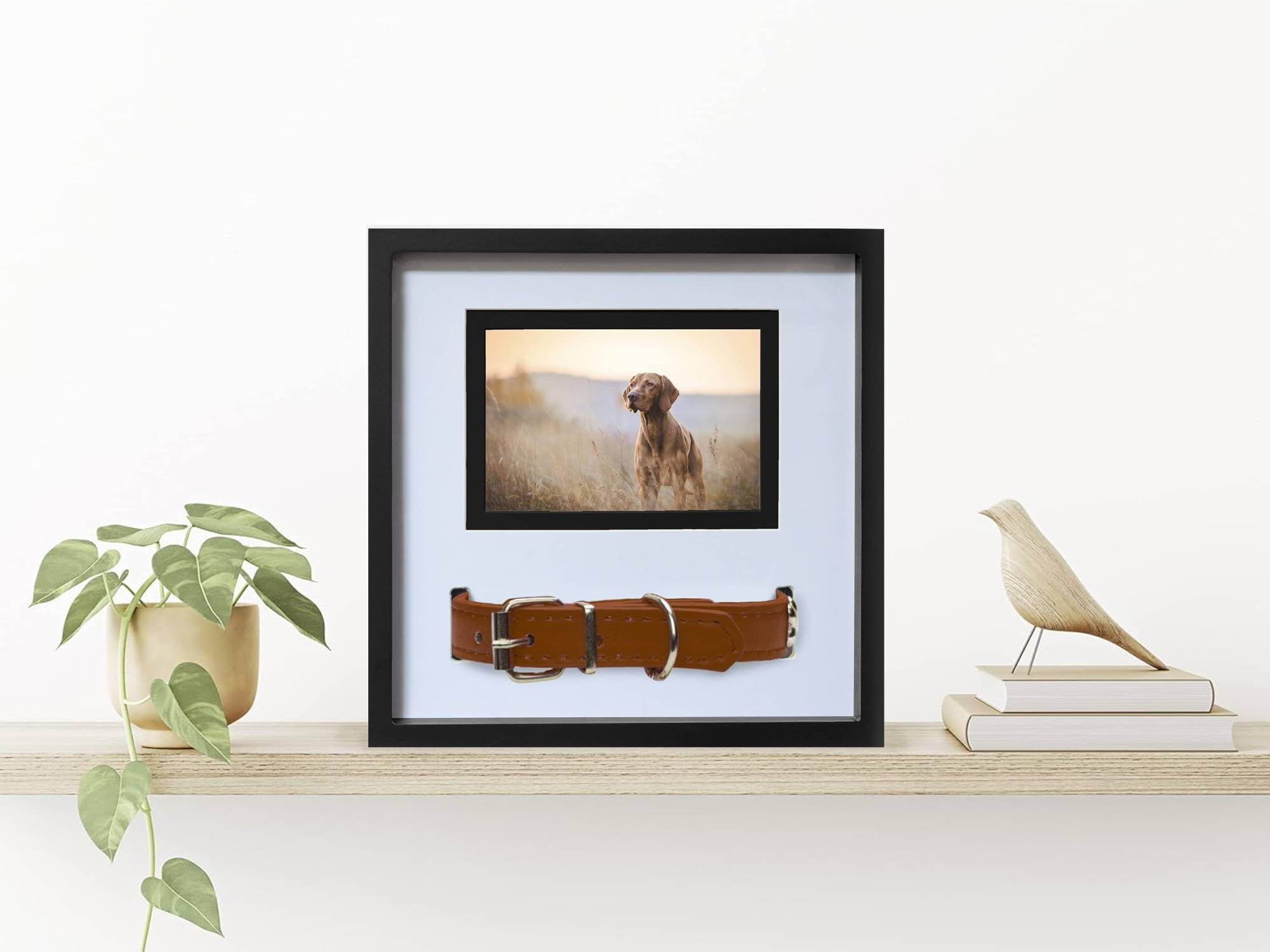 Better World Pets 11" x 11" Memorial Keepsake Frame for Dogs and Cats ...