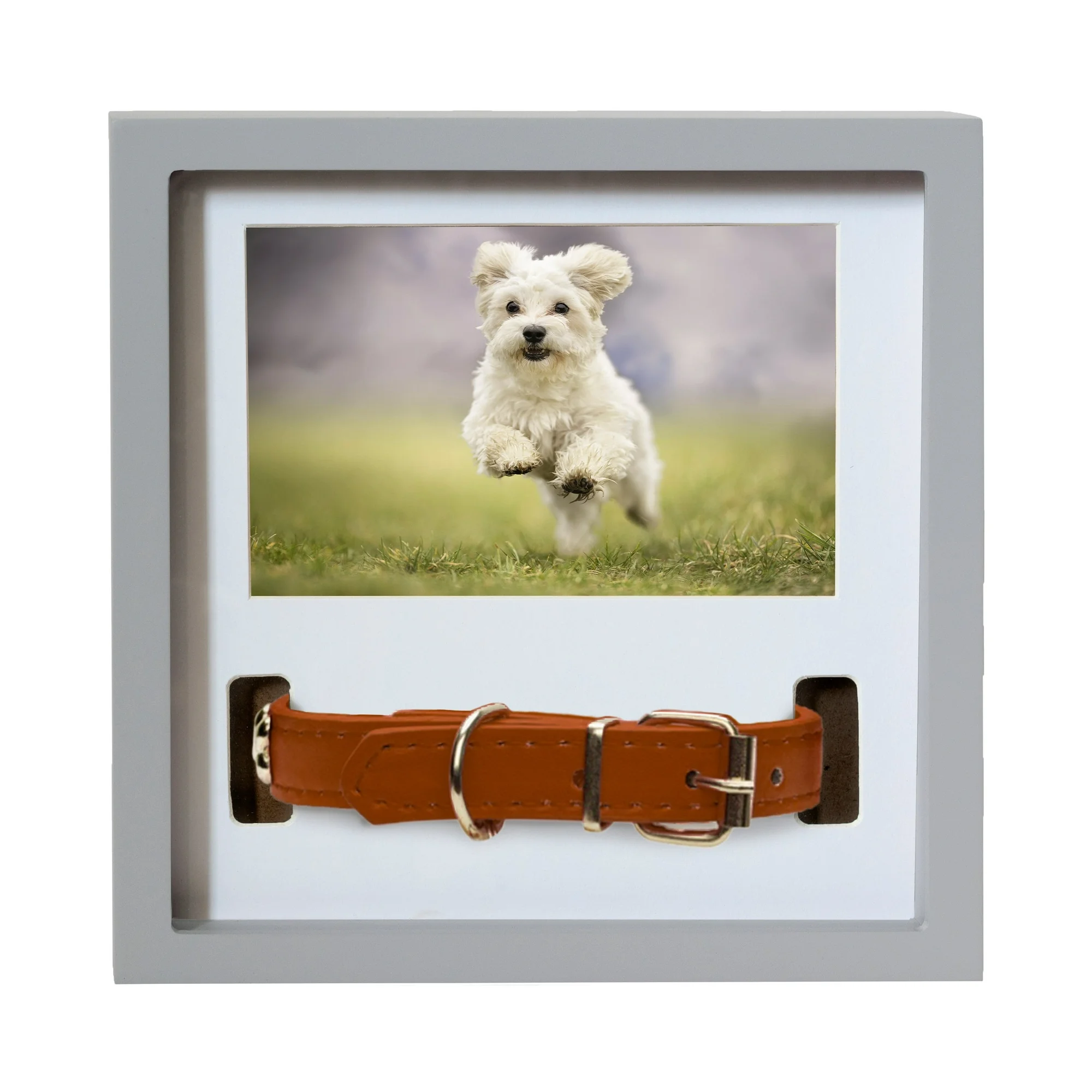 Better World Pets Photo, Collar Memorial Pet Frame, Cat and Dog ...