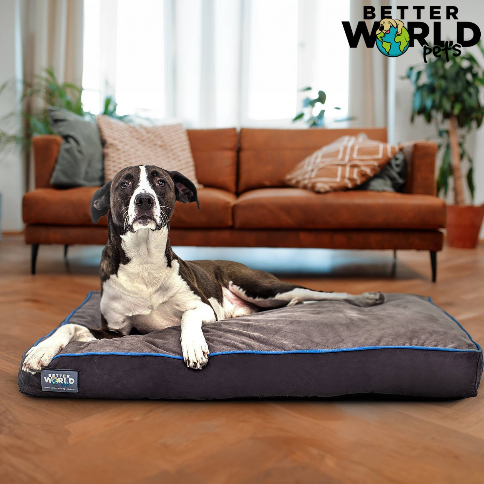 Better World Pets Orthopedic Dog Bed, Waterproof, Premium Memory Foam ...
