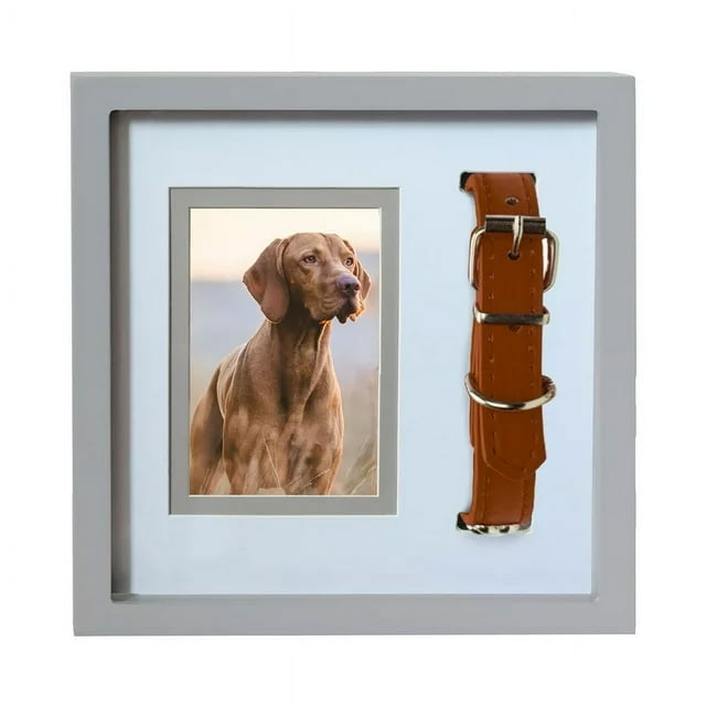 Better World Pets Photo, Collar Memorial Pet Frame, Cat and Dog ...
