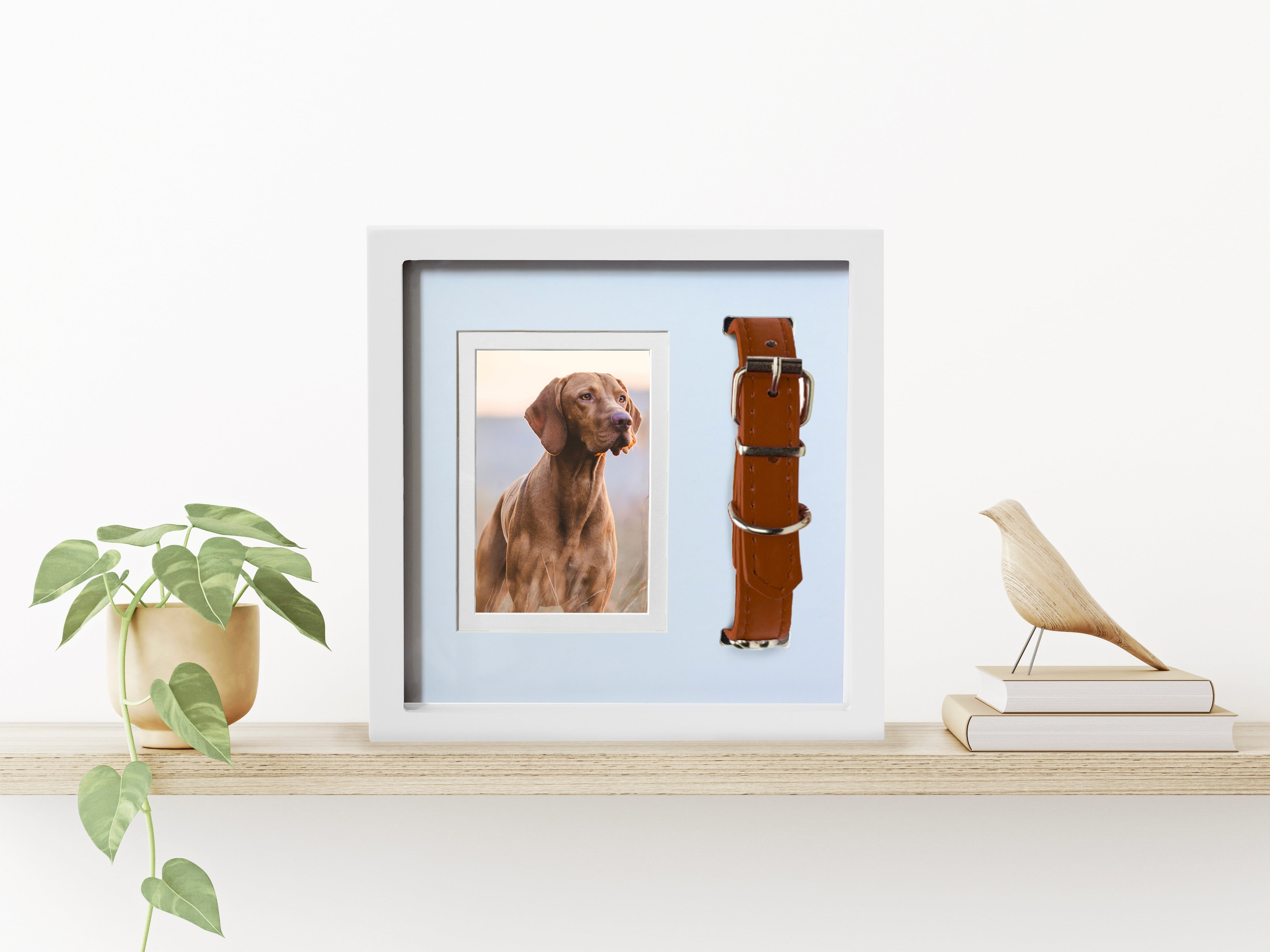 Better World Pets Photo, Collar Memorial Pet Frame, Cat and Dog ...