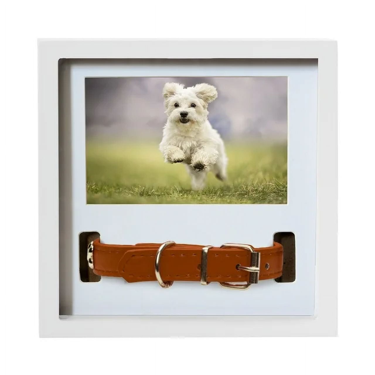 Better World Pets Photo, Collar Memorial Pet Frame, Cat and Dog ...