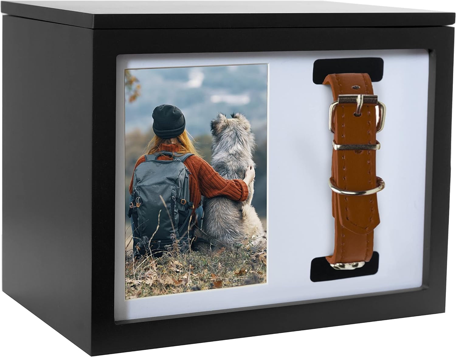 Better World Pets Urn and Keepsake Box Memorial- Collar Display and ...