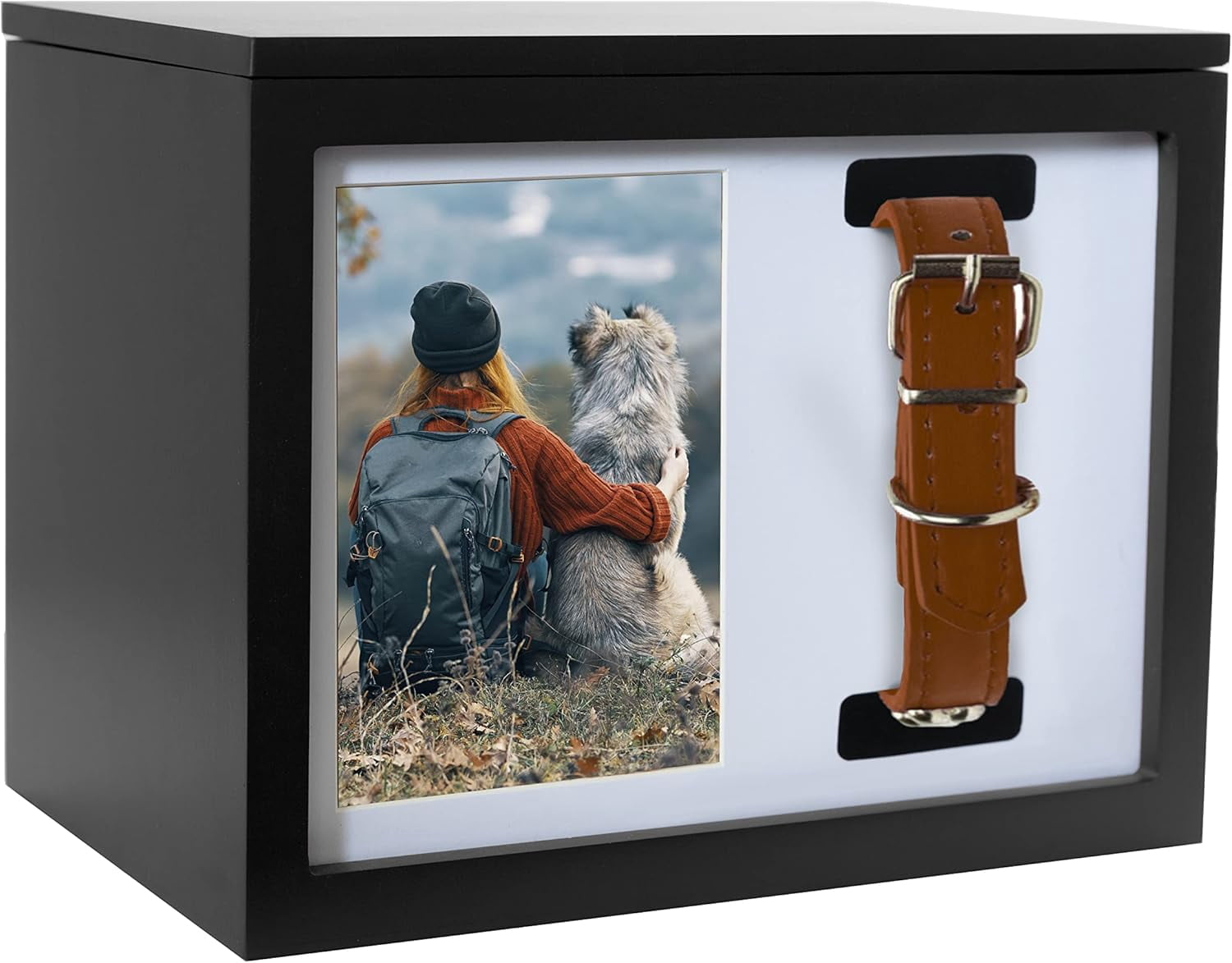 Better World Pets Urn and Keepsake Box Memorial- Collar Display and ...