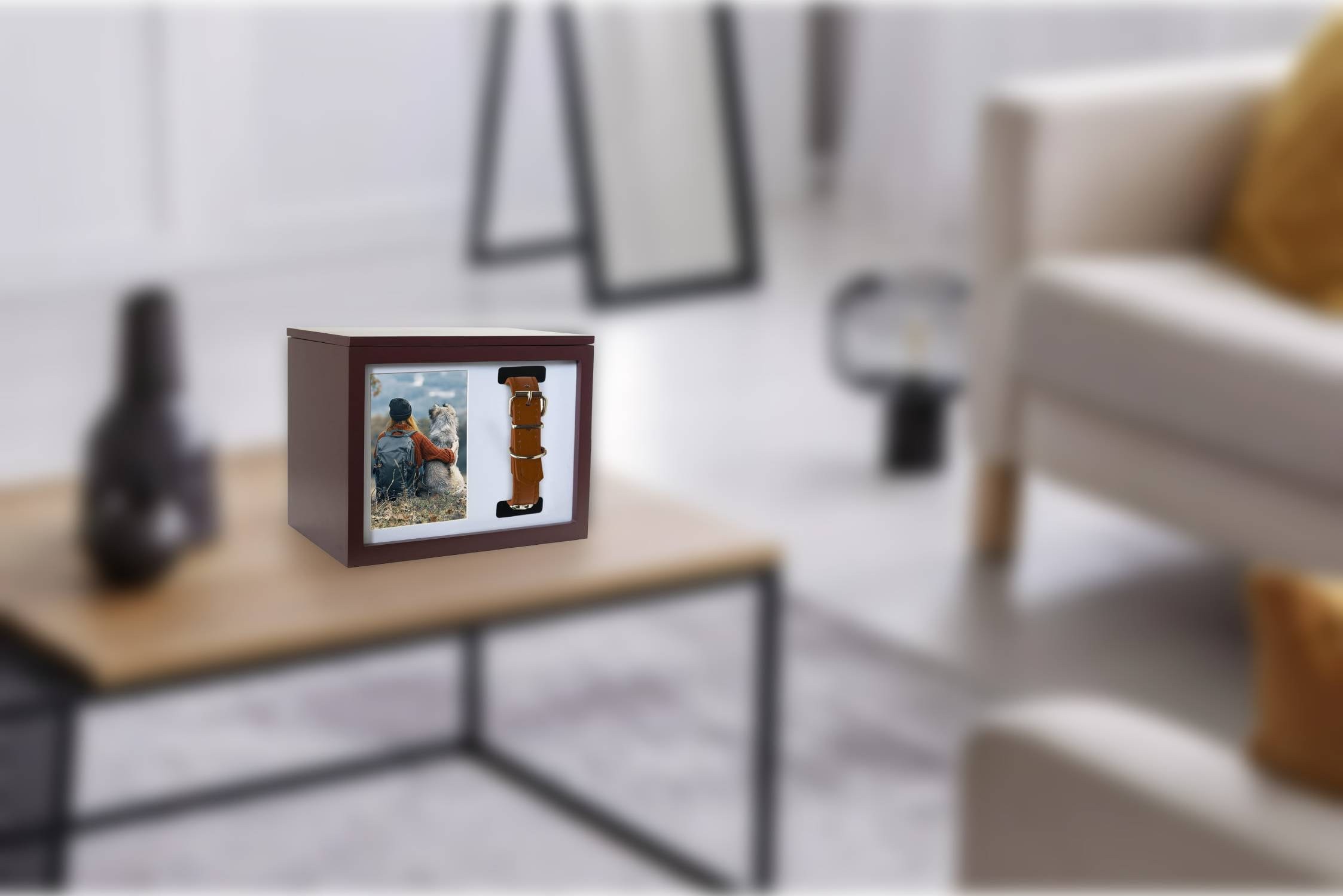 Better World Pets Urn and Keepsake Box Memorial- Collar Display and ...