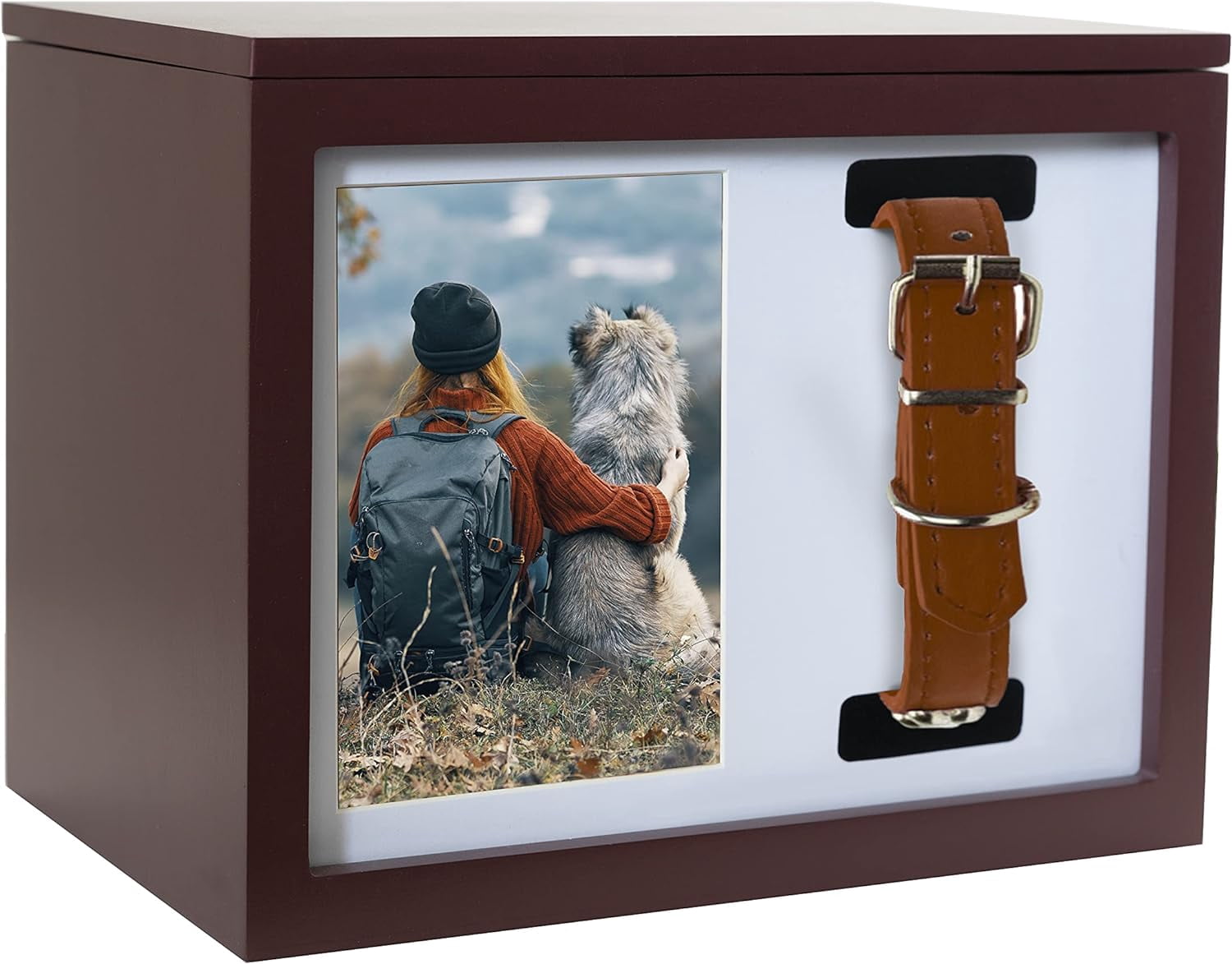 Better World Pets Urn and Keepsake Box Memorial- Collar Display and ...