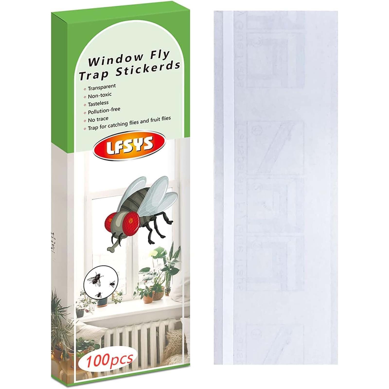 Bettry Gnat Traps for House Indoor -100 Pack Clear Fly Sticky Strips ...