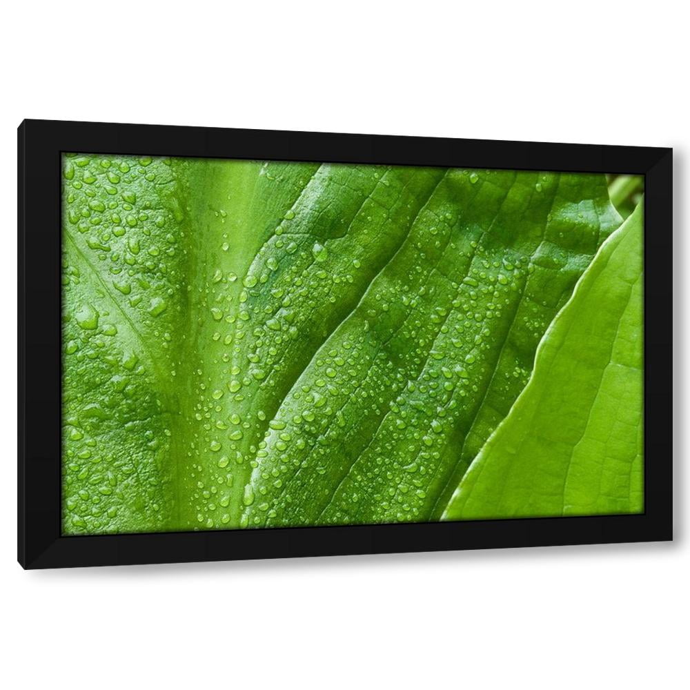 Betty Sederquist 14x11 Black Modern Wood Framed Wall Art Titled ...