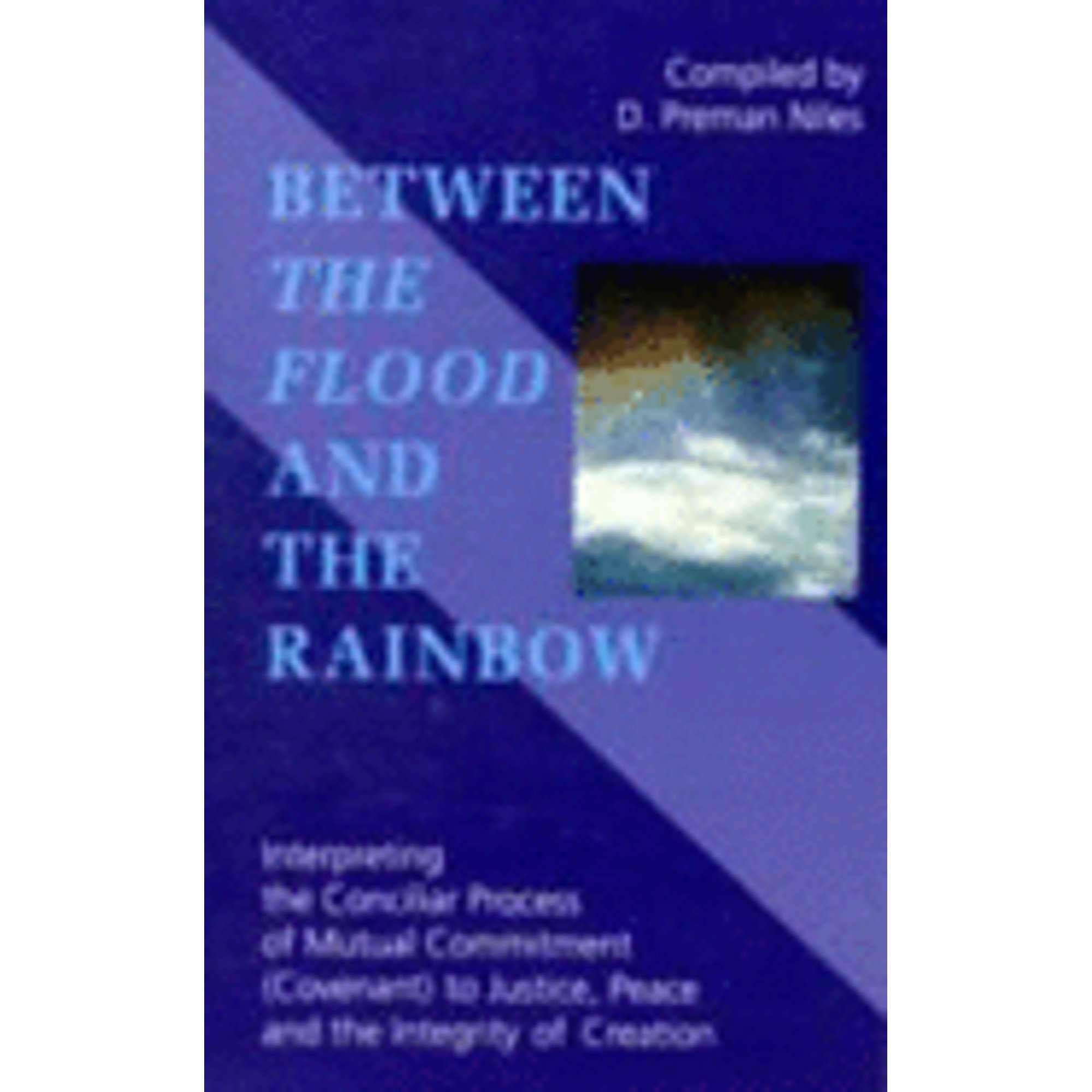 Pre-Owned Between the Flood and the Rainbow: Interpreting the Conciliar ...