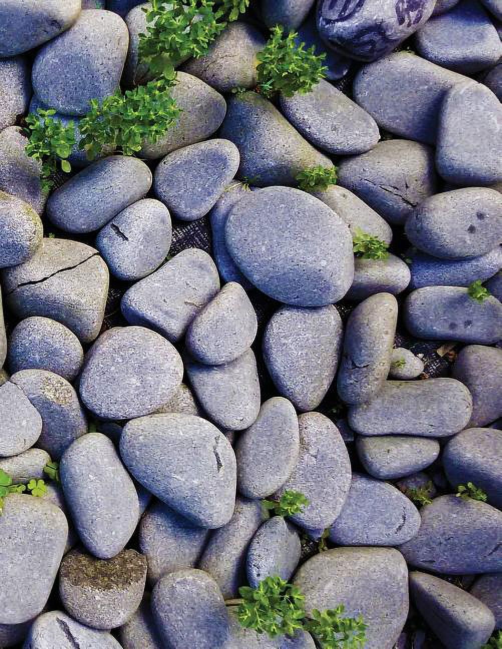 Between the Stones Sketchbook: Blank Art Sketch Pad Journal Notebook ...