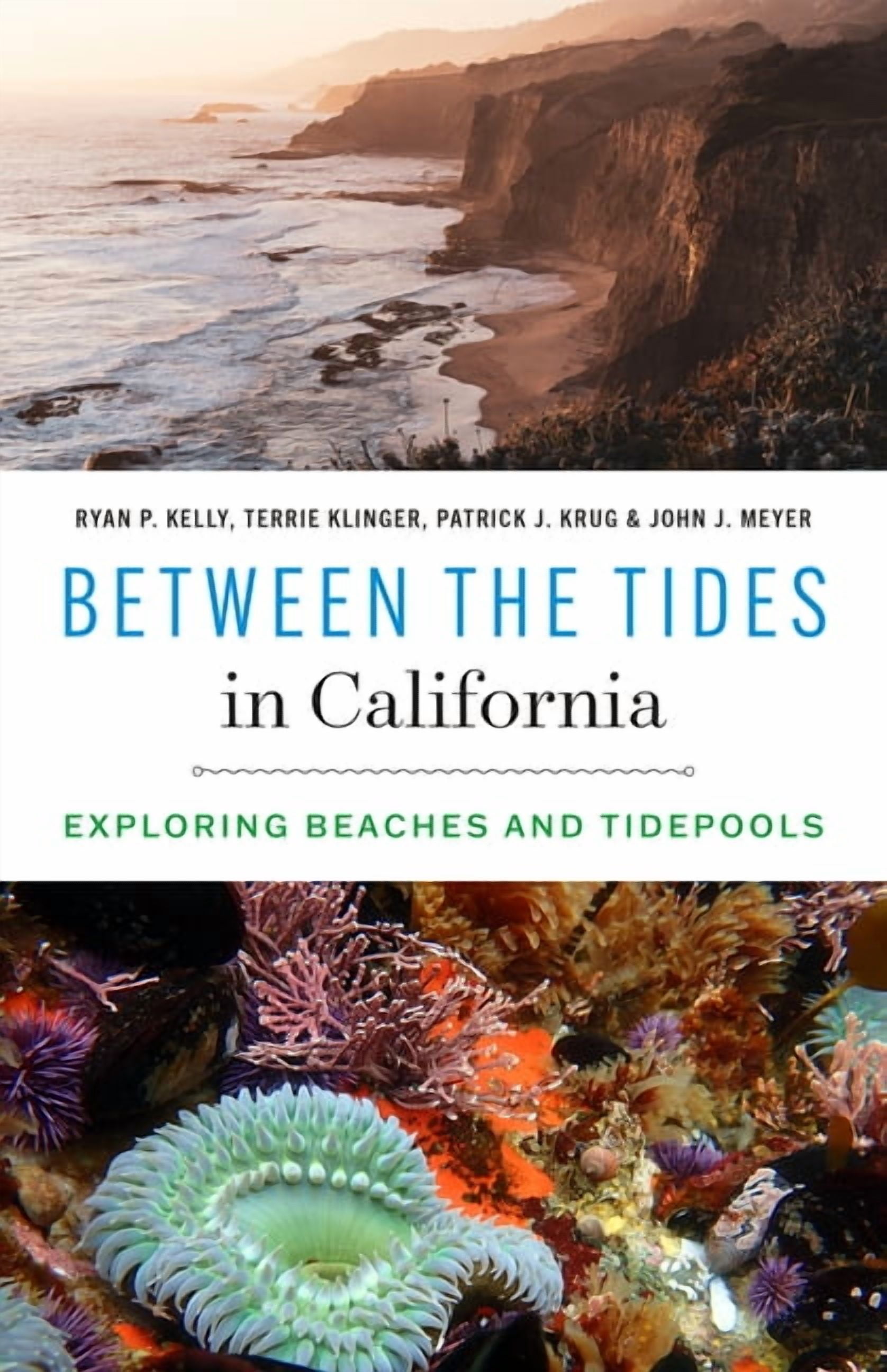 Between the Tides in California: Exploring Beaches and Tidepools ...