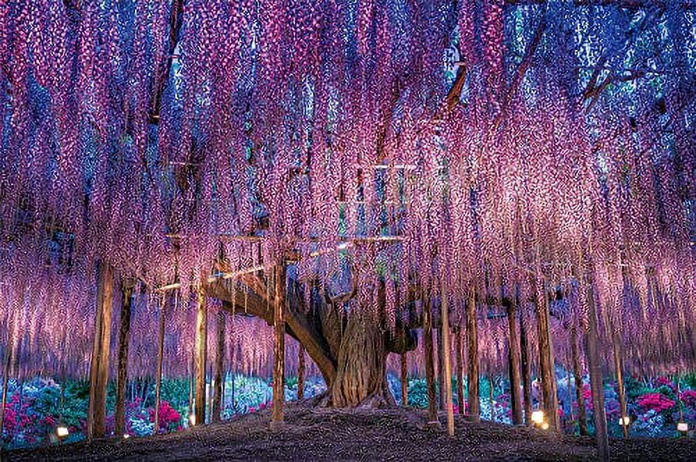 Beverly 1000 piece jigsaw puzzle Fujihana fantasy (49 x 72 cm ...