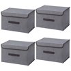 ANMINY Set of 2 Large Foldable Fabric Storage Bins with Lids and ...