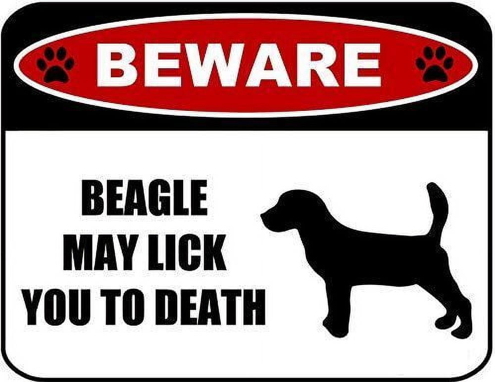 Beware Beagle May Lick You to Death (Metal Sign) Dog Sign Size: 8 x 12 ...