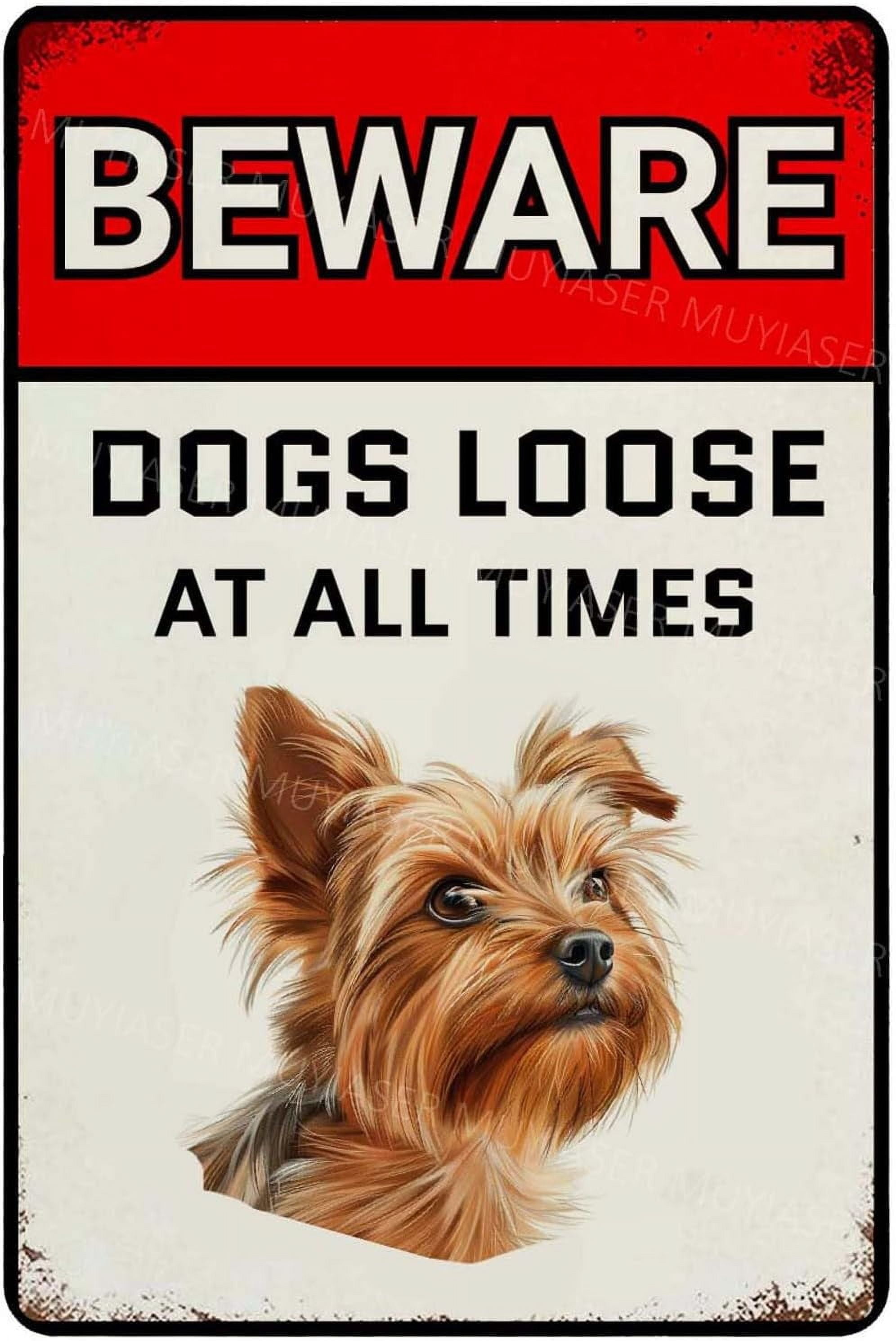 Beware Of Dogs Loose At All Time Sign Yorkie Warning Sign Aluminum ...