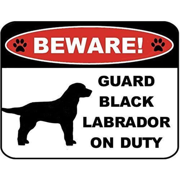 Beware Guard Black Lab (Metal Aluminum Sign) on Duty Dog Sign Size: 16 ...