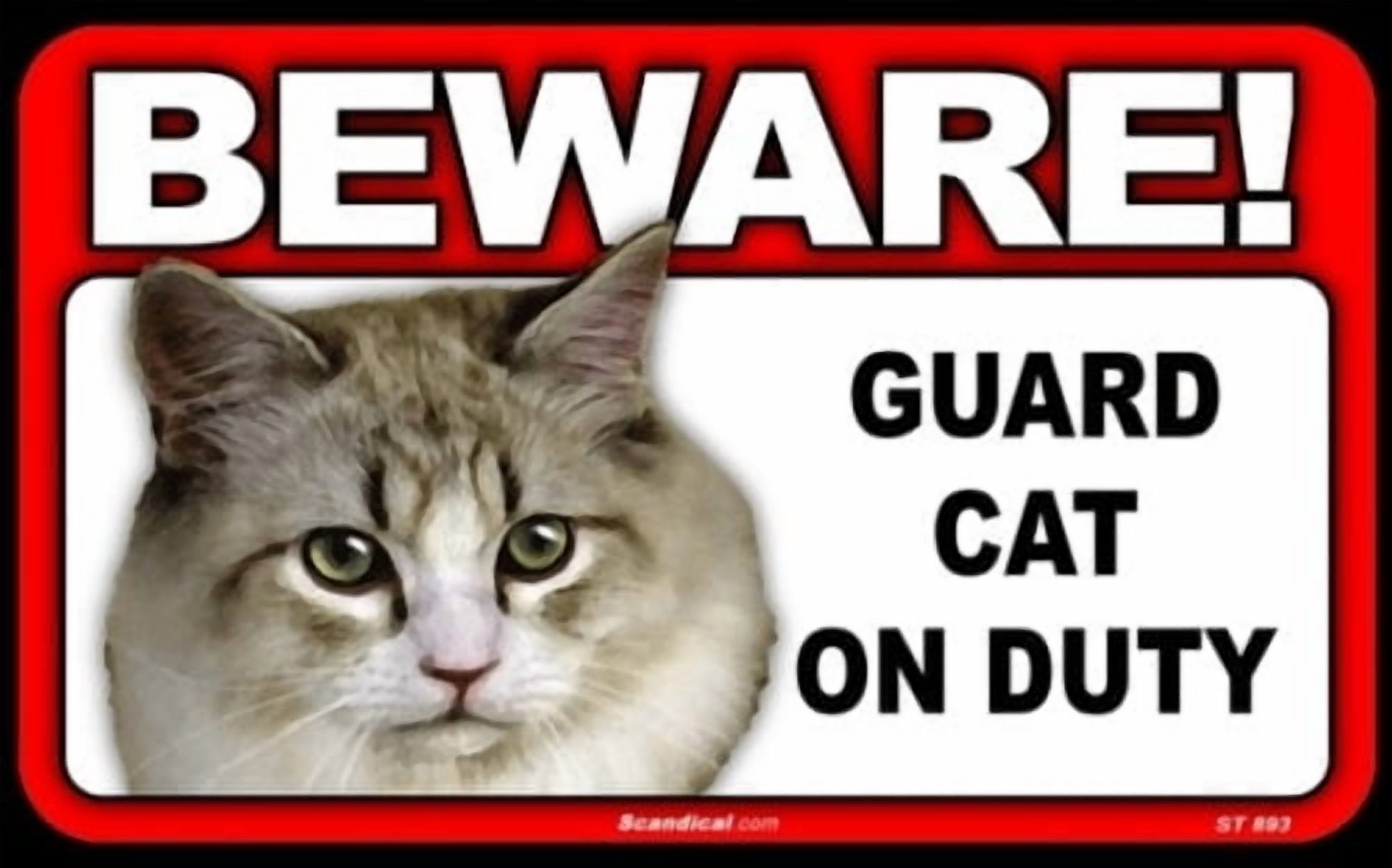 BEWARE Guard Cat on Duty Sign - Coon Cat - Walmart.com