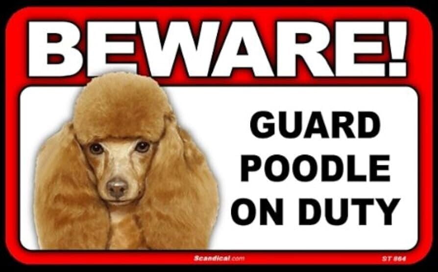 Beware Guard Dog On Duty Sign - Poodle (Toy) - Walmart.com