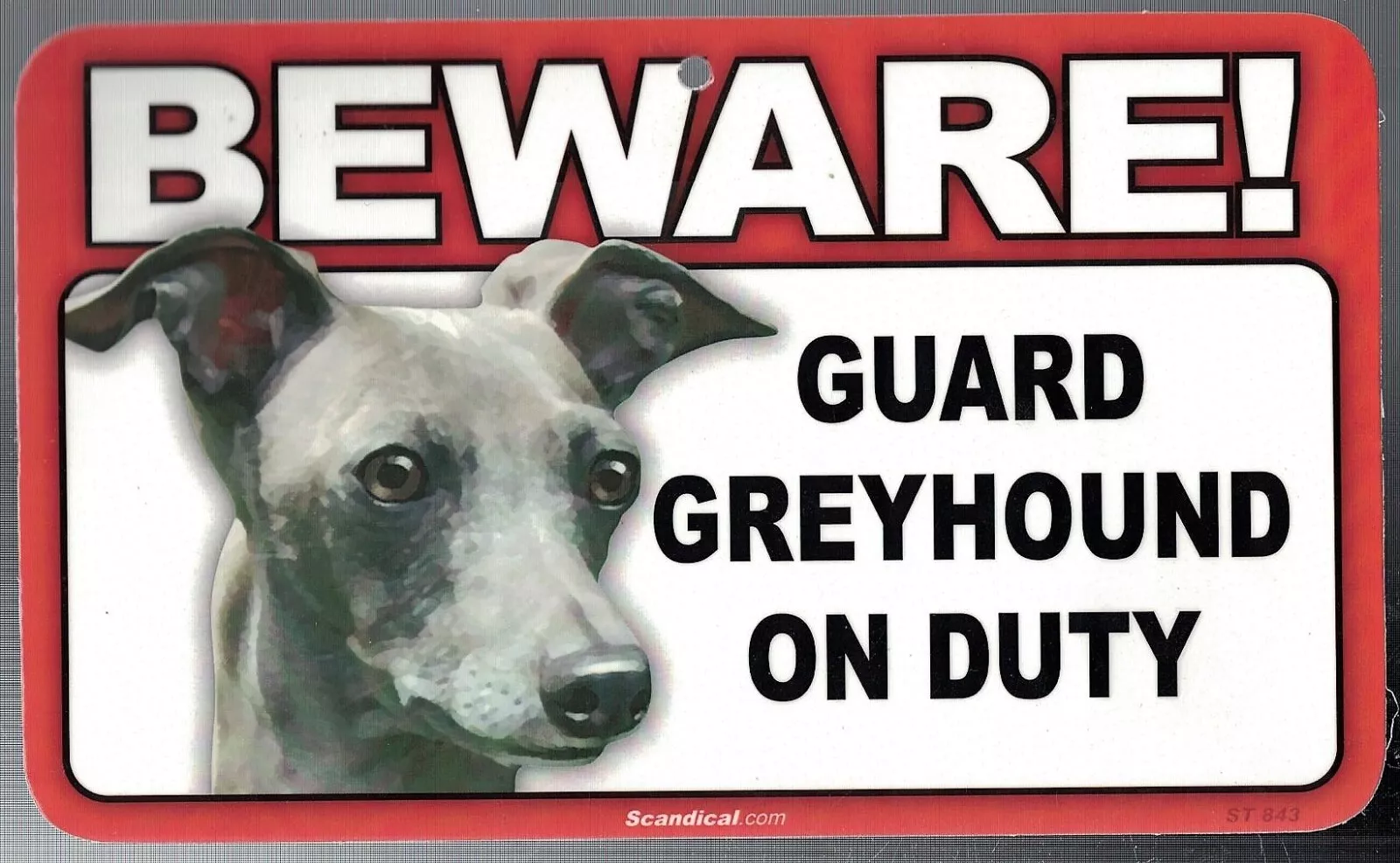 Beware Guard Greyhound Dog On Duty 5" X 8" Hangable Plastic Sign New ...