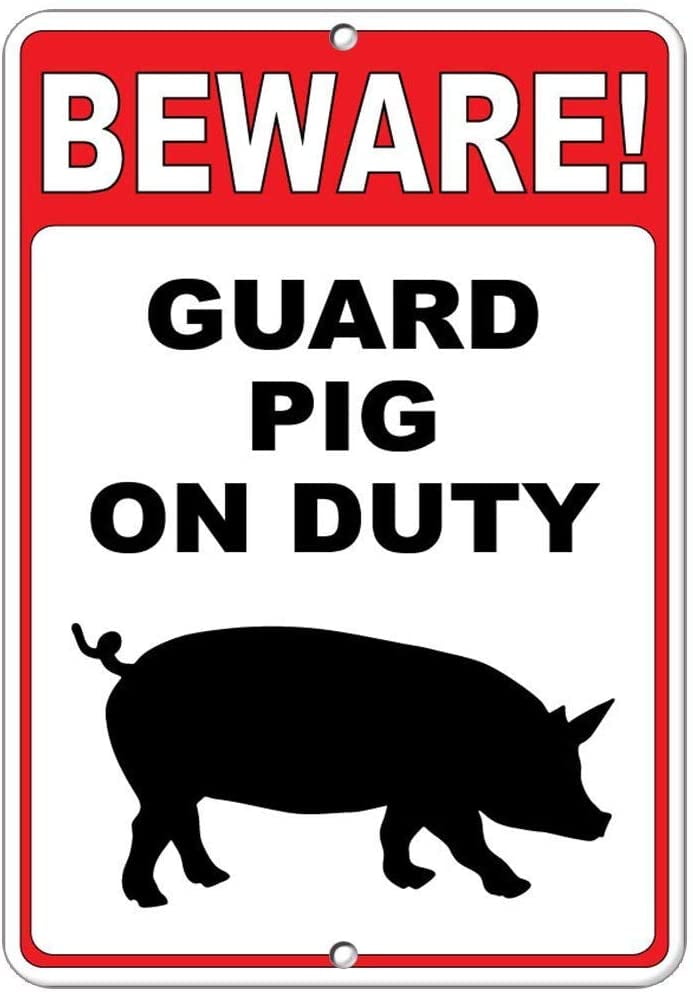 Beware! Guard Pig On Duty Funny Quote Aluminum Metal Sign - Walmart.com