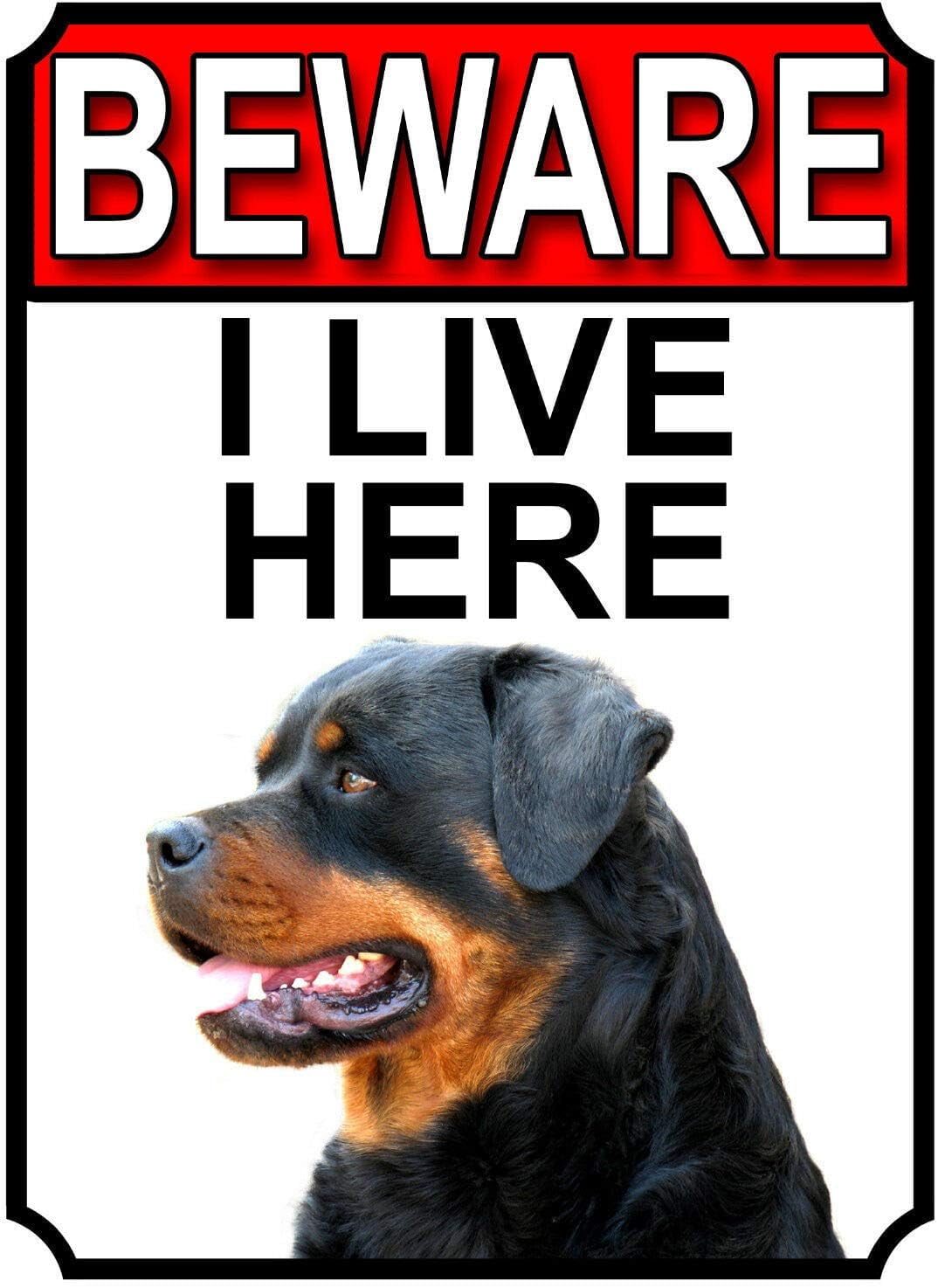 Beware I Live Here Metal Tin Signs-Metal Tin Exquisite Wall Art Decor ...