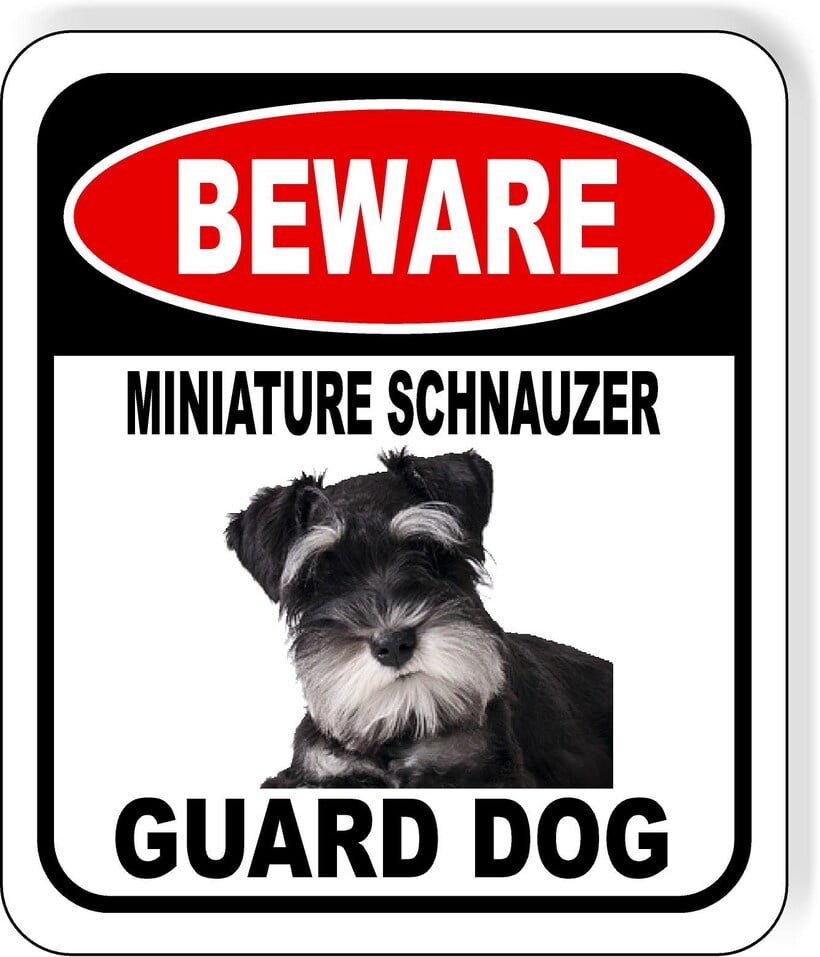 Beware Miniature Schnauzer Guard Dog Composite Sign SIZE: 8" x 12 ...