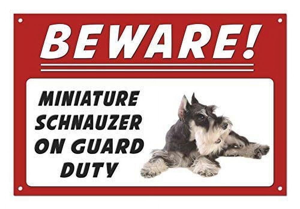 Beware Miniature Schnauzer On Guard Duty Metal Sign ( 8 x 12 inch ...