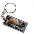 Beware Of Bearded Dragon Keychain Key Chain Ring - Walmart.com