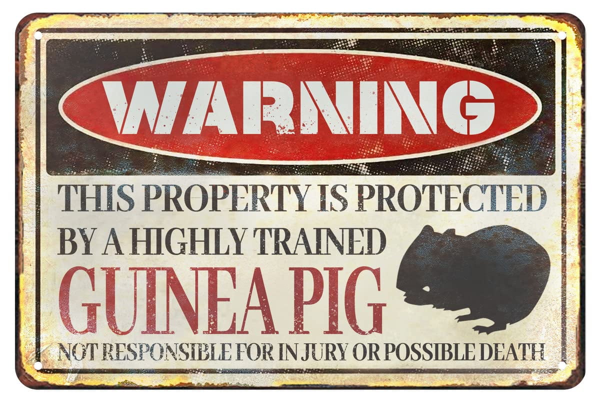 Beware Of Guinea Pig Warning Sign - - Danger Sign Funny Gag Gifts For ...